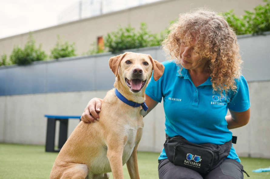 Living with a reactive dog