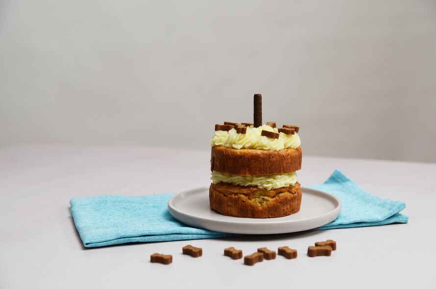 Dog birthday cake | Battersea Dogs & Cats Home
