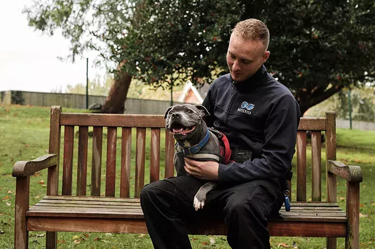 Battersea Dogs & Cats Home | Battersea Dogs & Cats Home