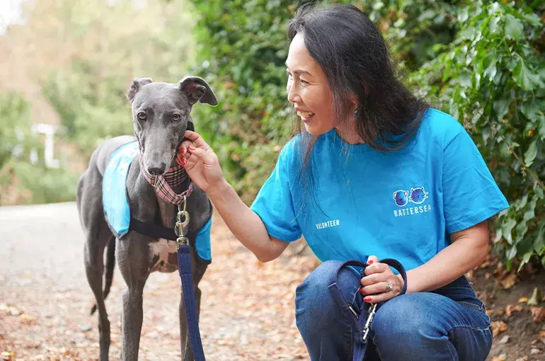 Battersea Dogs & Cats Home | Battersea Dogs & Cats Home