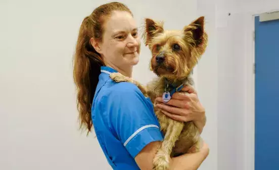Battersea Dogs & Cats Home | Battersea Dogs & Cats Home